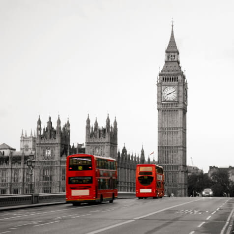 Bus Employees | Bus People - Bus Employees Friendly Society