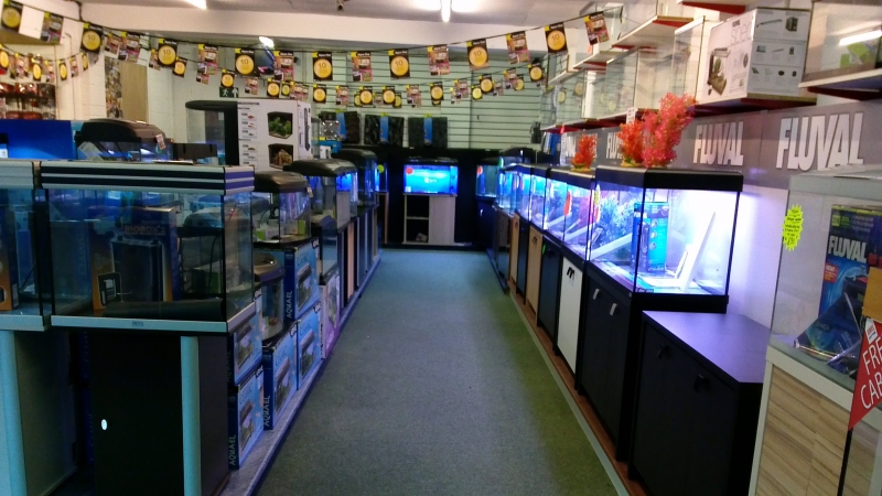 Aquatics in Wakefield - Nautilus Aquatics